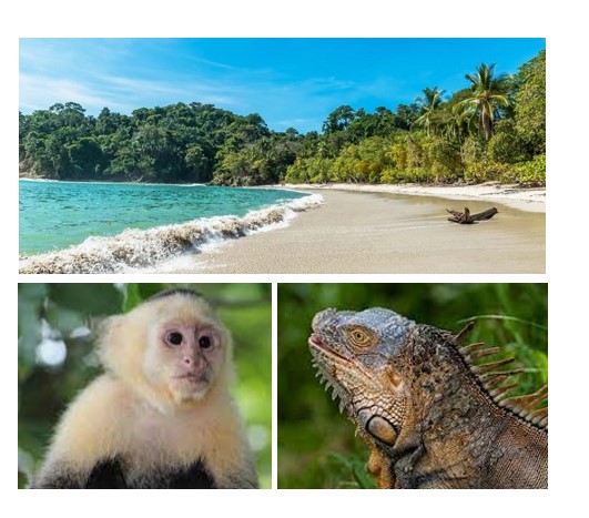 Wow Place #10: Manuel Antonio Beach, Costa Rica – Dr Clue Scavenger Hunts